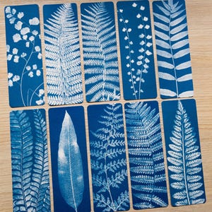 Cyanotype Stencils, Cyanotype Bookmarks, Cyanotype Negatives, Diy Craft ...