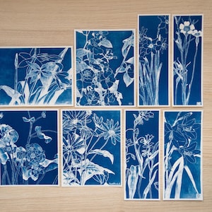Cyanotype Stencils, Cyanotype Bookmarks, Cyanotype Kit Just Stencils ...