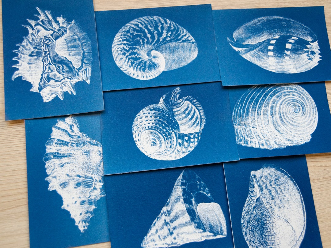Cyanotype Stencils, Cyanotype Kit Just Stencils, Diy Craft, Cyanotype ...