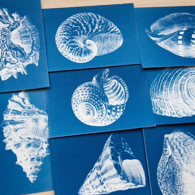 Shell Stencils - Etsy