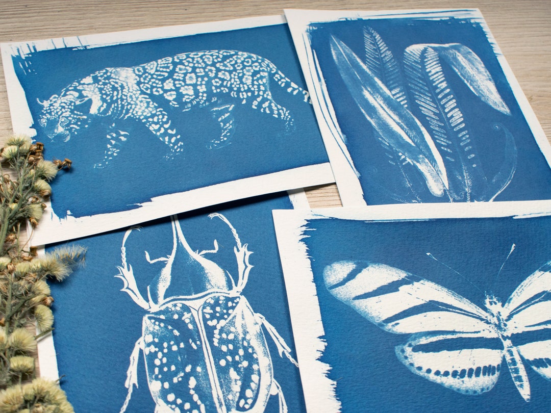 Cyanotype Stencils, Cyanotype Kit Just Stencils, Diy Craft, Cyanotype ...