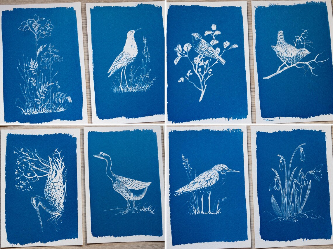Cyanotype Stencils, Cyanotype Kit Just Stencils, Birds and Plants ...
