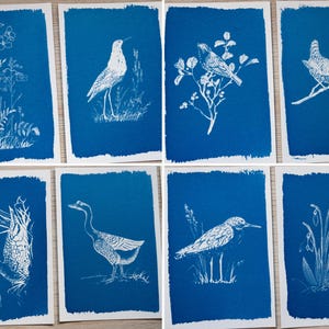 Cyanotype Stencils, Diy Craft, Cyanotype Kit Just Stencils, Cyanotype ...