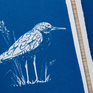 Cyanotype Stencils, Diy Craft, Cyanotype Kit Just Stencils, Cyanotype ...