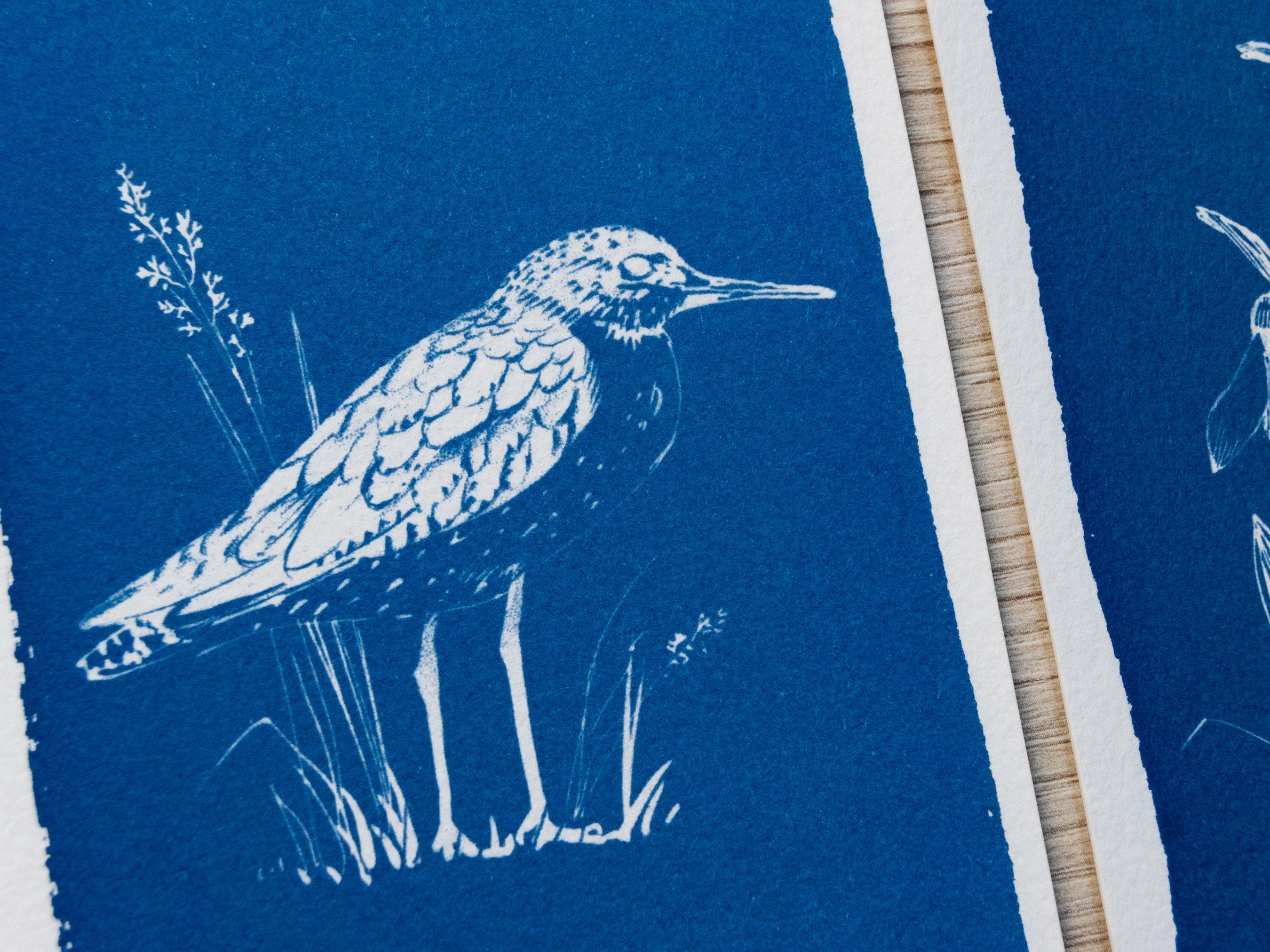 Cyanotype Stencils, Cyanotype Kit Just Stencils, Birds and Plants ...