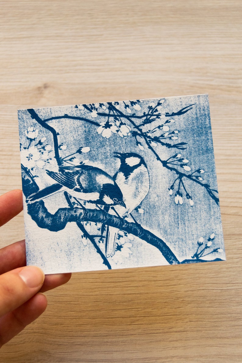 Cyanotype Stencils, Cyanotype Kit Just Stencils, Diy Craft, Cyanotype ...