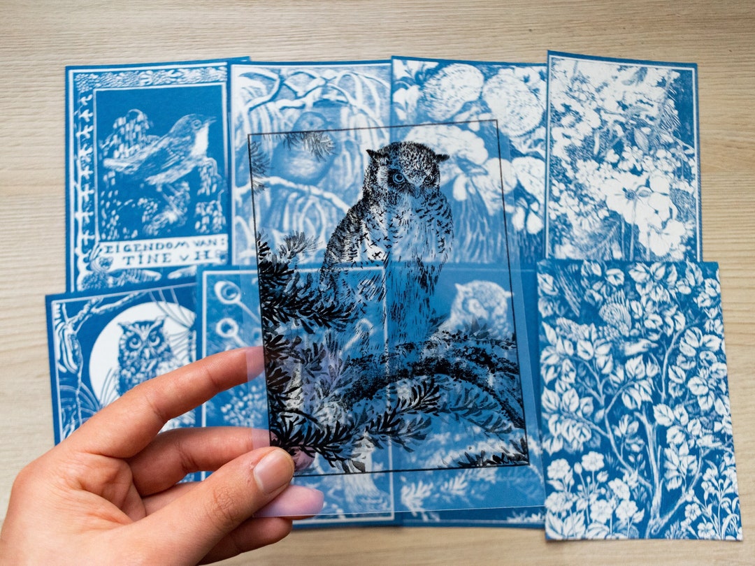 Cyanotype Kit, Cyanotype Stencils, Solar Art, Craft Kit, Diy Craft ...