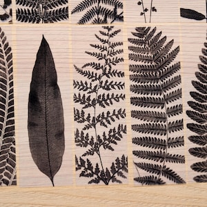 Cyanotype Stencils, Cyanotype Bookmarks, Cyanotype Kit Just Stencils ...