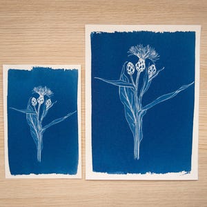 Cyanotype Stencils, Cyanotype Kit Just Stencils, Vintage Flowers ...