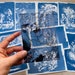 Cyanotype Stencils, Diy Craft, Cyanotype Kit Just Stencils, Cyanotype ...