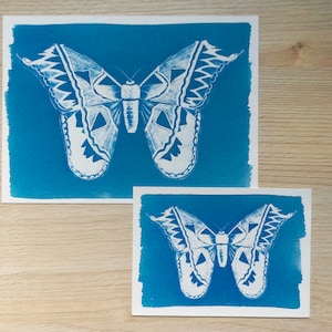 Cyanotype Stencils, Diy Craft, Cyanotype Kit Just Stencils, Cyanotype ...