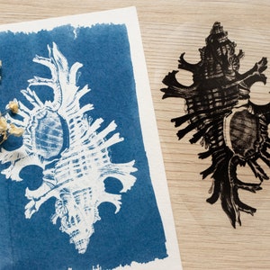 Cyanotype Stencils, Diy Craft, Cyanotype Kit Just Stencils, Cyanotype ...