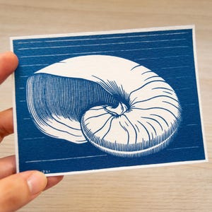 Cyanotype Stencils, Cyanotype Kit Just Stencils, Diy Craft, Cyanotype ...