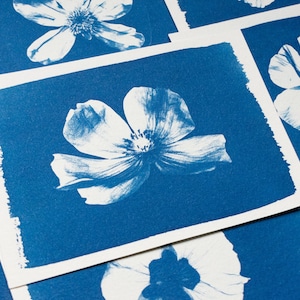 Cyanotype Stencils, Cyanotype Kit Just Stencils, Pressed Flowers ...