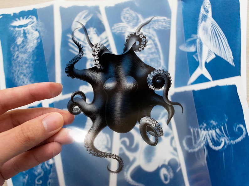 Ocean Life Cyanotype Kit With Paper | Octopus Seahorse Jellyfish Solar ...