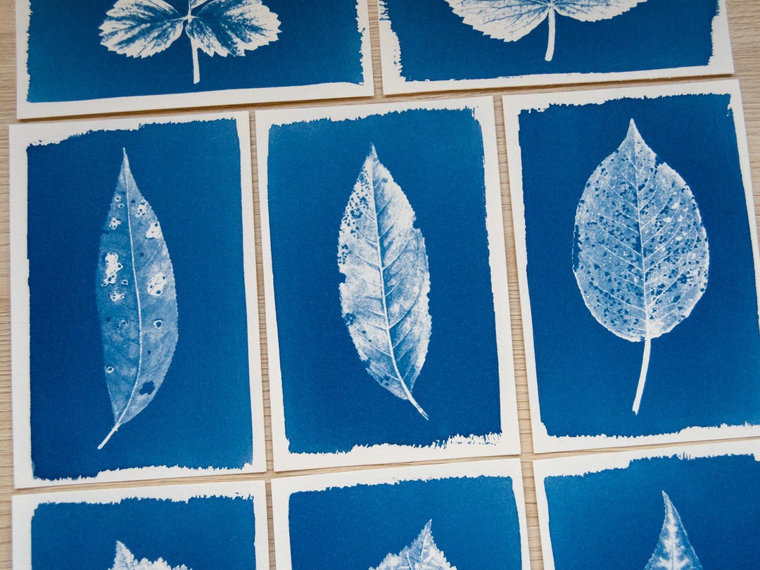 Cyanotype Stencils, Cyanotype Kit Just Stencils, Vintage Leaves ...