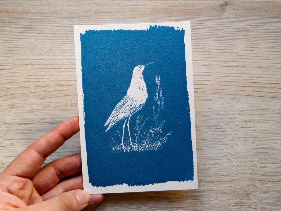 Cyanotype Stencils, Cyanotype Kit Just Stencils, Birds and Plants ...