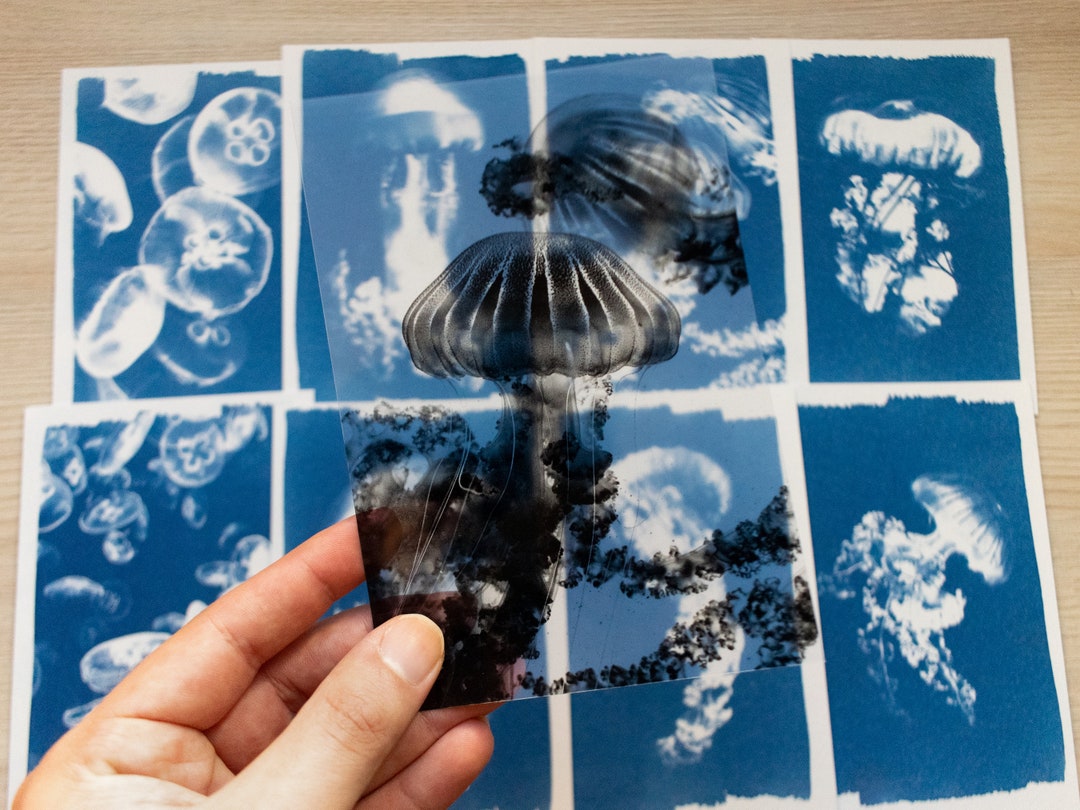 Cyanotype Kit, Cyanotype Stencils, Solar Art, Solar Printing Kit, Craft ...