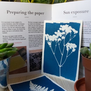 Cyanotype Kit, Cyanotype Stencils, Solar Art, Diy Craft, Craft Kit for ...