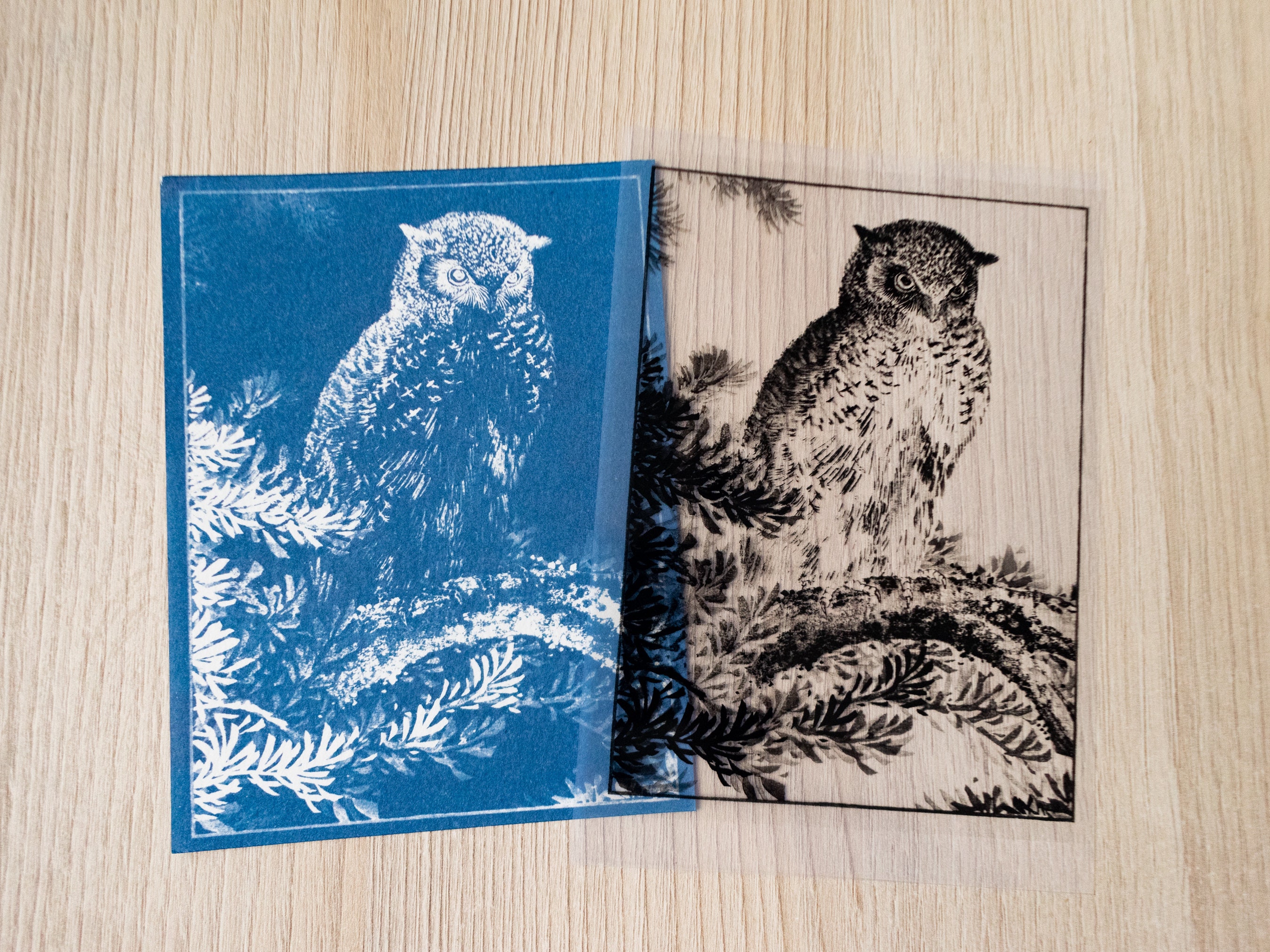Cyanotype Stencils, Cyanotype Kit Just Stencils, Birds Cyanotype ...
