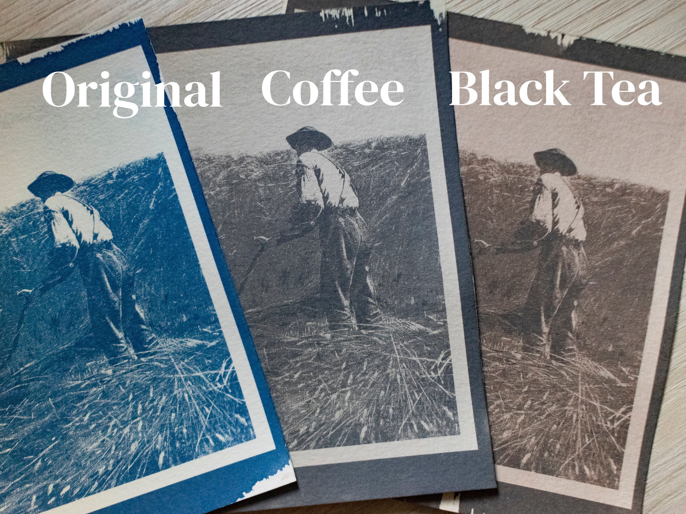 Cyanotype Tutorial PDF | Beginner Sun Print Course With Videos ...