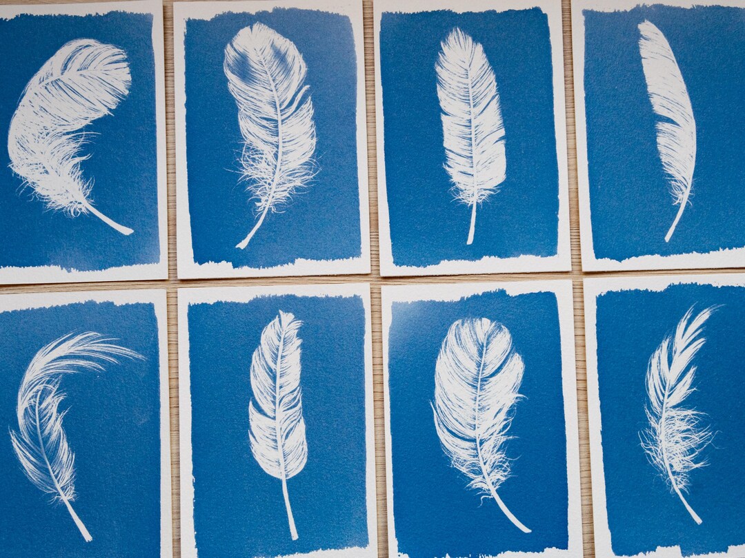 Feather Cyanotype Stencils | Bird Feather Sun Print Negatives | Boho ...