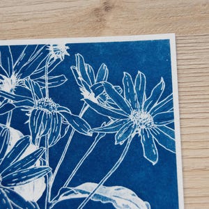 Cyanotype Stencils, Cyanotype Bookmarks, Cyanotype Kit Just Stencils ...