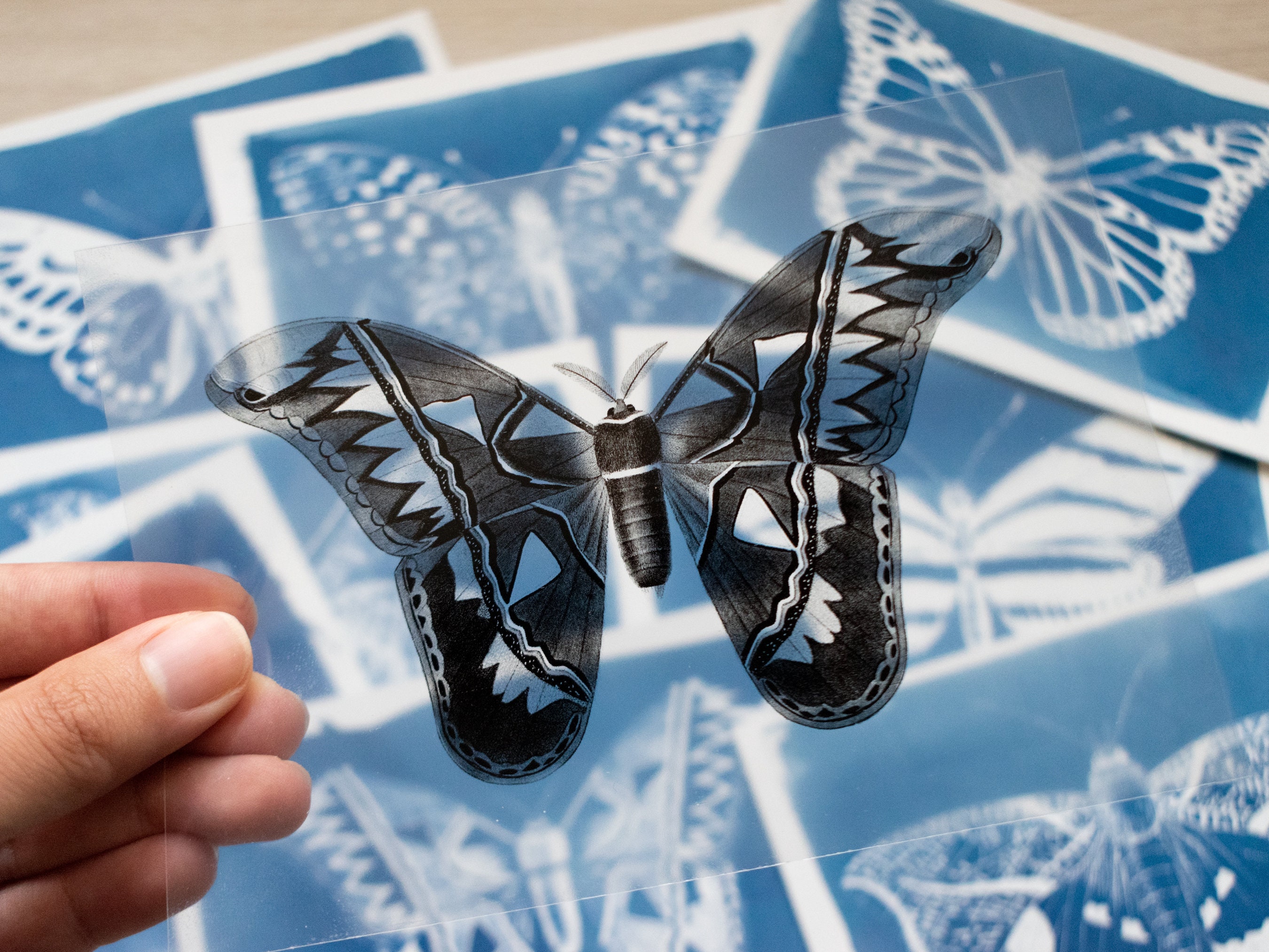 Cyanotype Kit Just Stencils Cyanotype Stencils Butterflies - Etsy