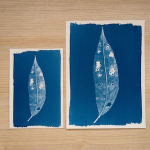 Cyanotype Stencils, Cyanotype Kit Just Stencils, Vintage Leaves ...
