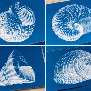 Cyanotype Stencils, Cyanotype Kit Just Stencils, Diy Craft, Cyanotype ...