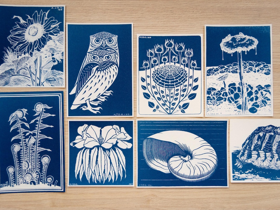 Cyanotype Stencils, Cyanotype Kit Just Stencils, Diy Craft, Cyanotype ...
