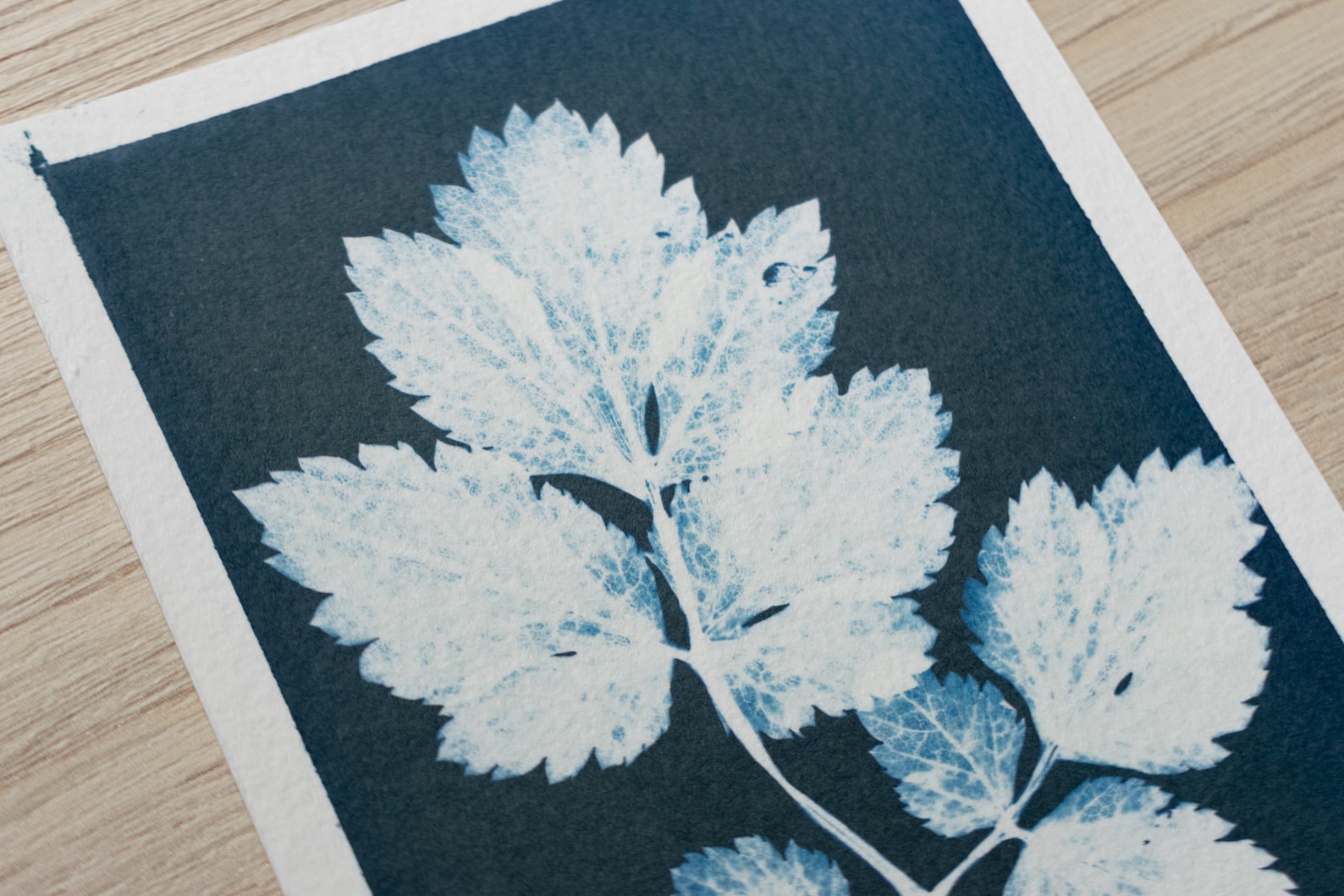 Cyanotype Tutorial PDF | Beginner Sun Print Course With Videos ...