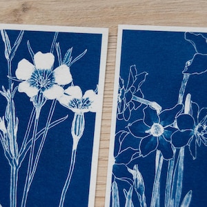 Cyanotype Stencils, Cyanotype Bookmarks, Cyanotype Kit Just Stencils ...