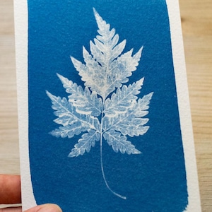 Cyanotype Stencils, Cyanotype Kit Just Stencils, Craft Kit for Adults ...