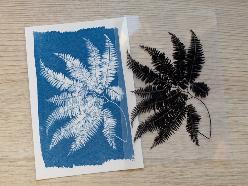 Cyanotype Kit Just Stencils, Diy Craft, Cyanotype Stencils, Cyanotype ...