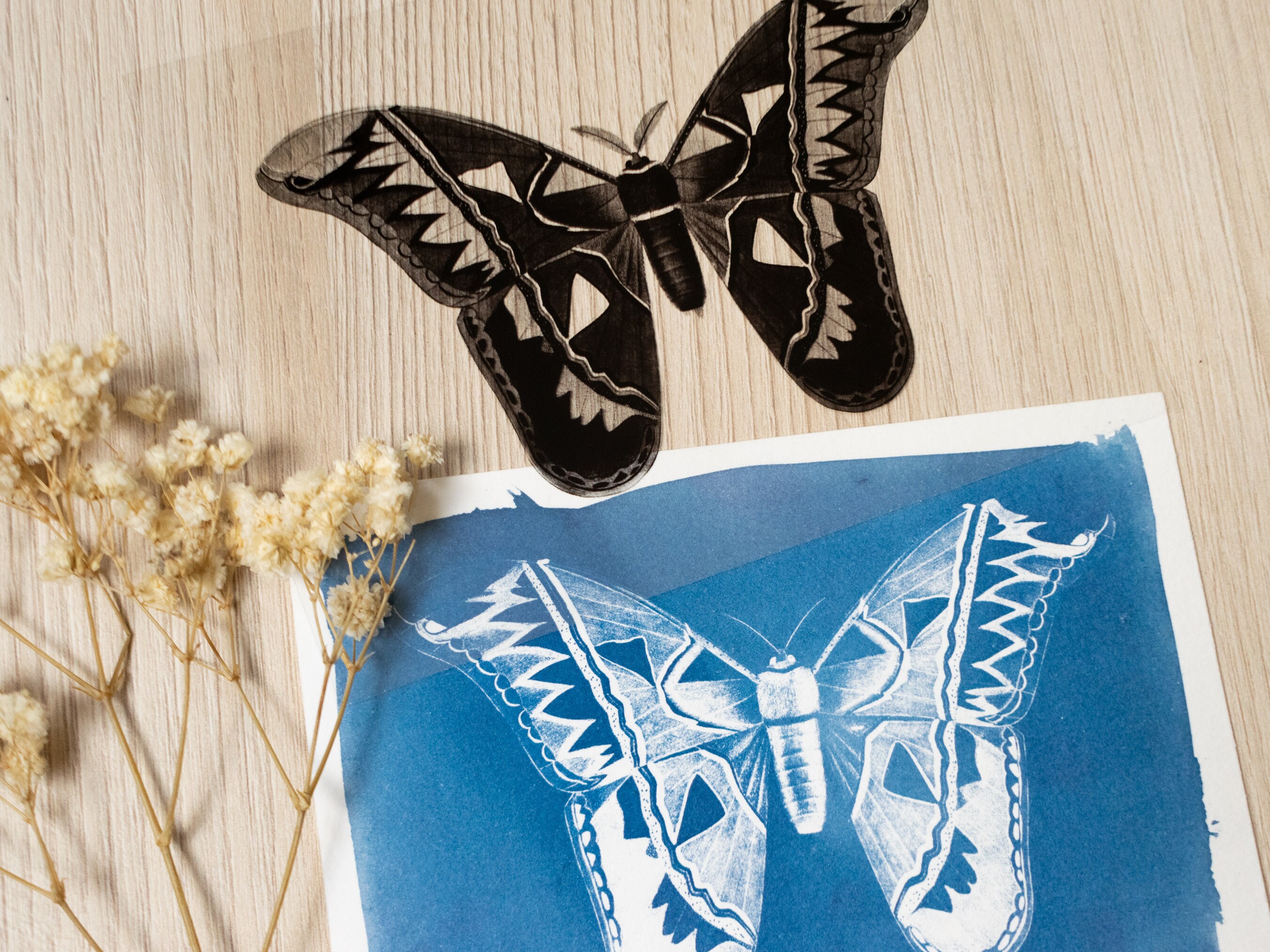 Cyanotype Kit Just Stencils Cyanotype Stencils Butterflies - Etsy
