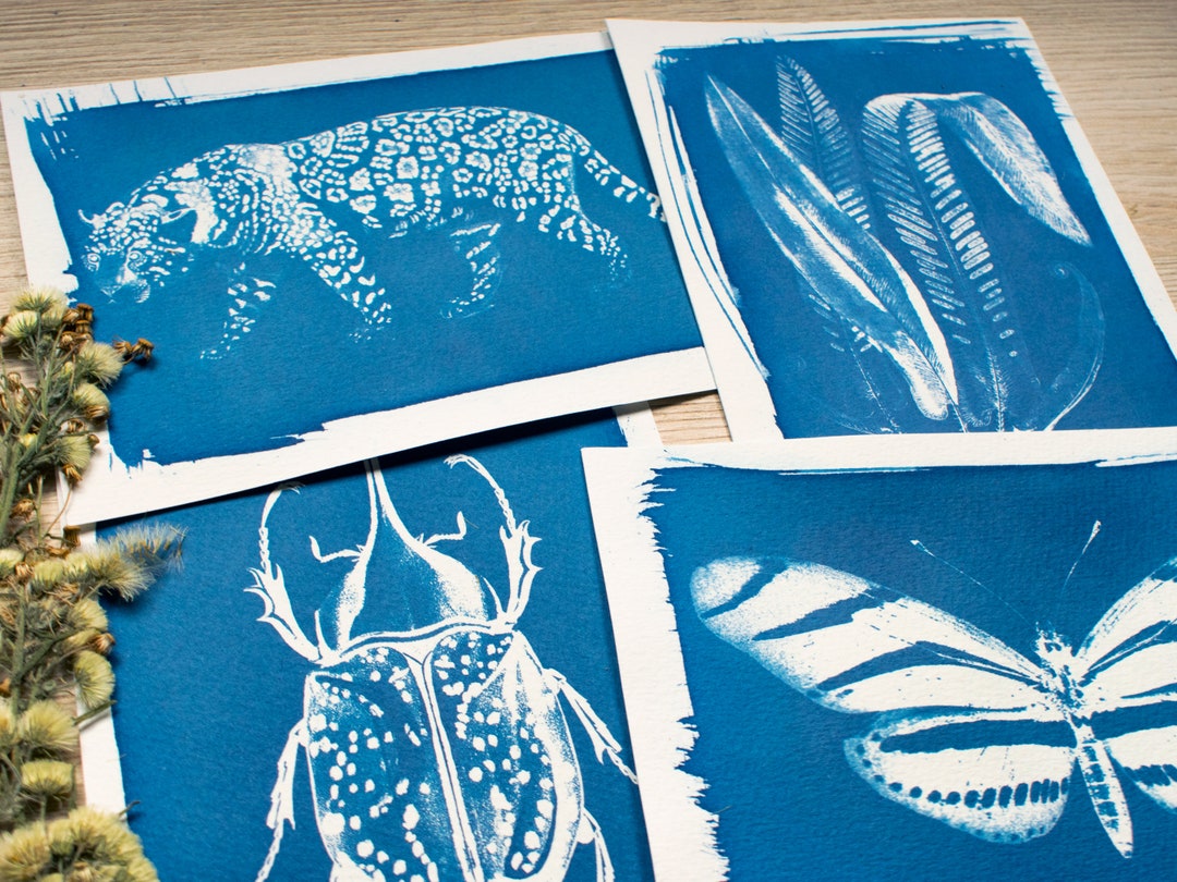 Cyanotype Stencils, Cyanotype Kit Just Stencils, Diy Craft, Cyanotype ...
