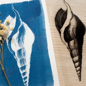Cyanotype Stencils, Diy Craft, Cyanotype Kit Just Stencils, Cyanotype ...