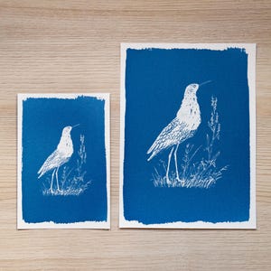 Cyanotype Stencils, Diy Craft, Cyanotype Kit Just Stencils, Cyanotype ...