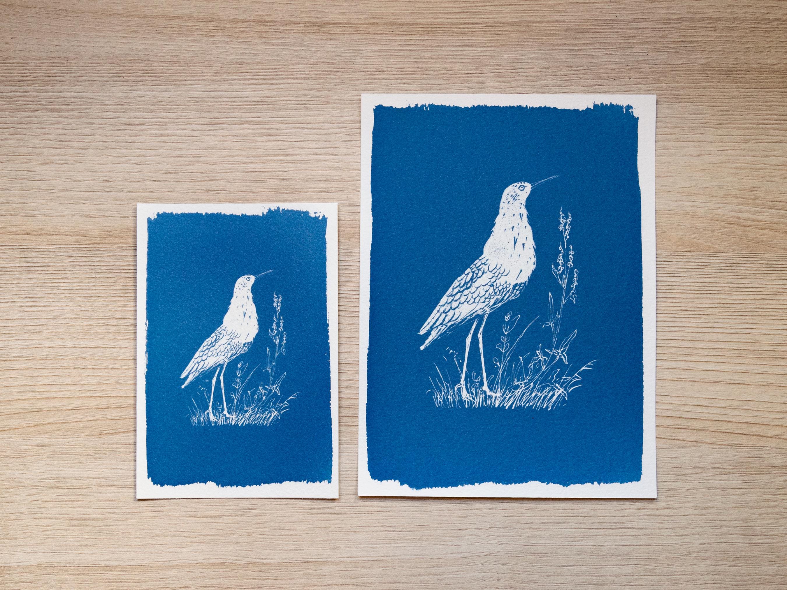 Cyanotype Stencils, Cyanotype Kit Just Stencils, Birds and Plants ...