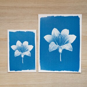 Cyanotype Stencils, Cyanotype Kit Just Stencils, Pressed Flowers ...
