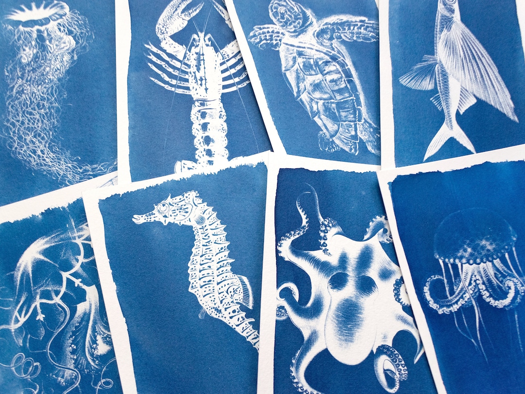 Cyanotype Stencils, Cyanotype Kit Just Stencils, Diy Craft, Cyanotype ...
