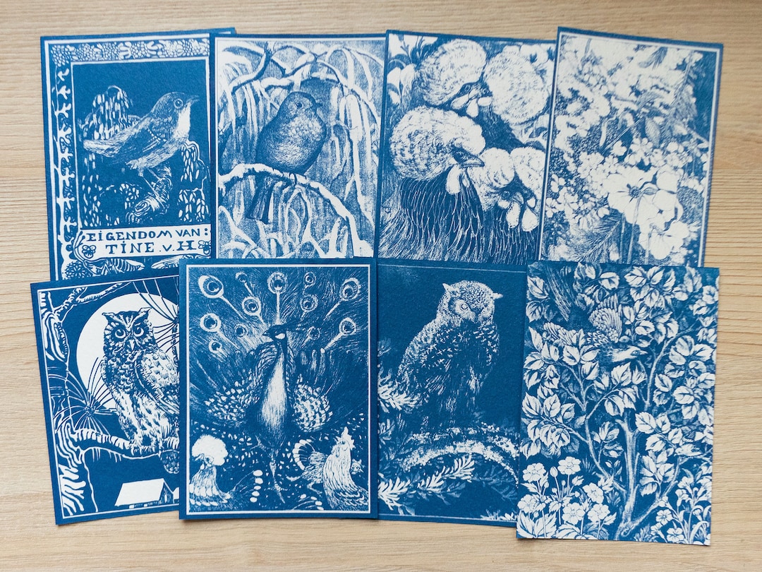 Cyanotype Stencils, Diy Craft, Cyanotype Kit Just Stencils, Cyanotype ...