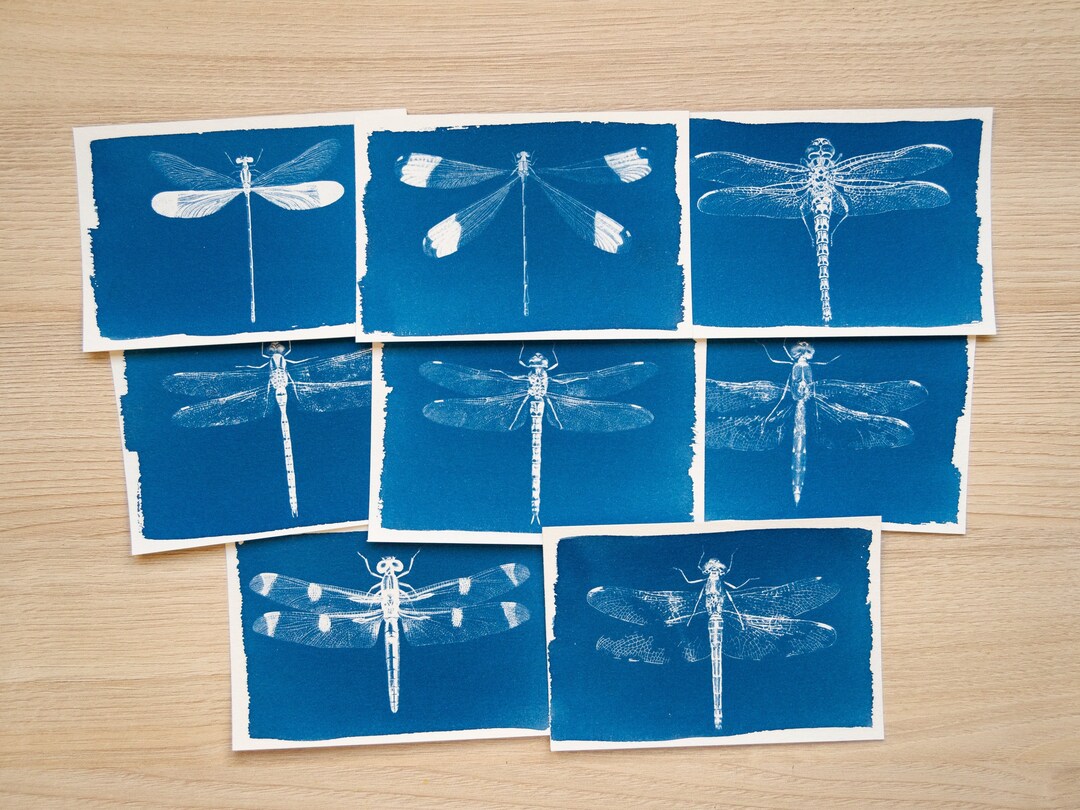 Cyanotype Stencils, Cyanotype Kit Just Stencils, Diy Craft, Cyanotype ...