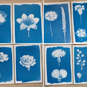 Cyanotype Stencils, Cyanotype Kit Just Stencils, Pressed Flowers ...