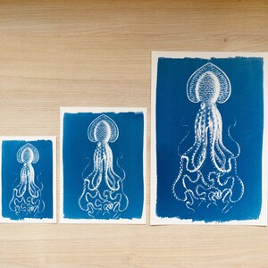 Cyanotype Stencils, Cyanotype Kit Just Stencils, Diy Craft, Cyanotype ...