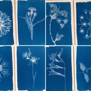 Cyanotype Stencils, Cyanotype Kit Just Stencils, Vintage Flowers ...