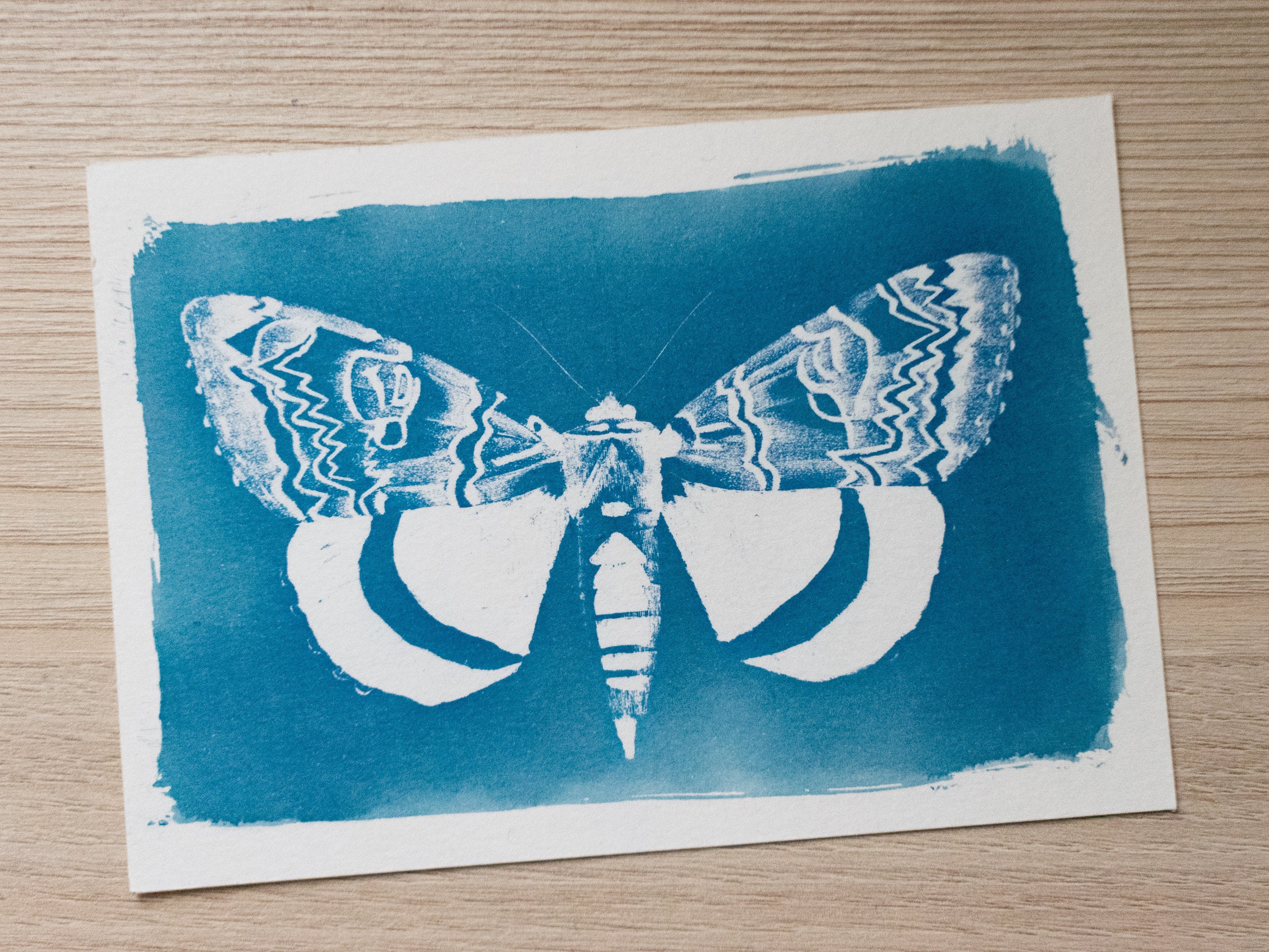 Cyanotype Kit Just Stencils Cyanotype Stencils Butterflies - Etsy