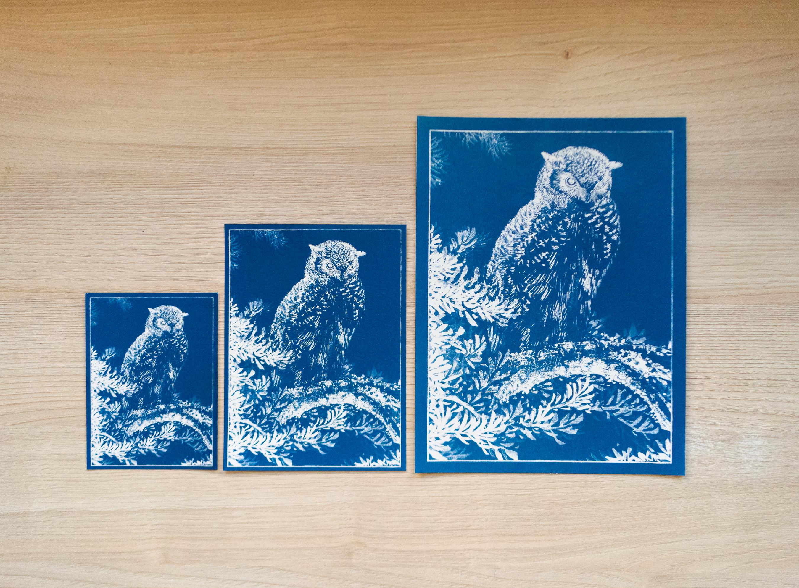 Cyanotype Stencils, Cyanotype Kit Just Stencils, Birds Cyanotype ...
