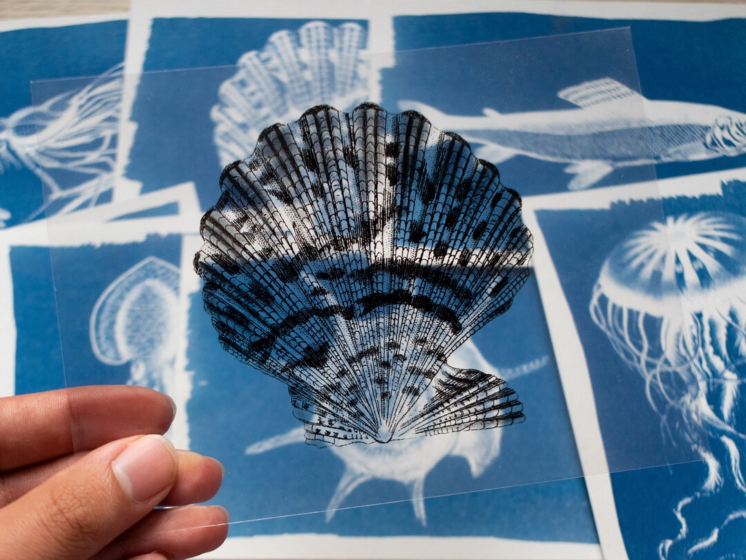 Cyanotype Kit, Cyanotype Stencils, Solar Art, Craft Kit, Diy Craft ...